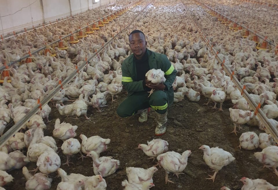 Animal Production – LID Academy